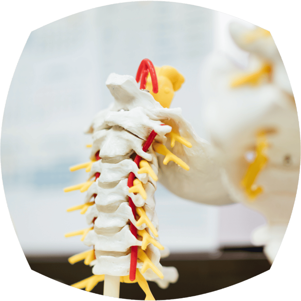 Dr Emmanuel Foulongne - Centre Normandie Rachis - Clinique Saint-Hilaire